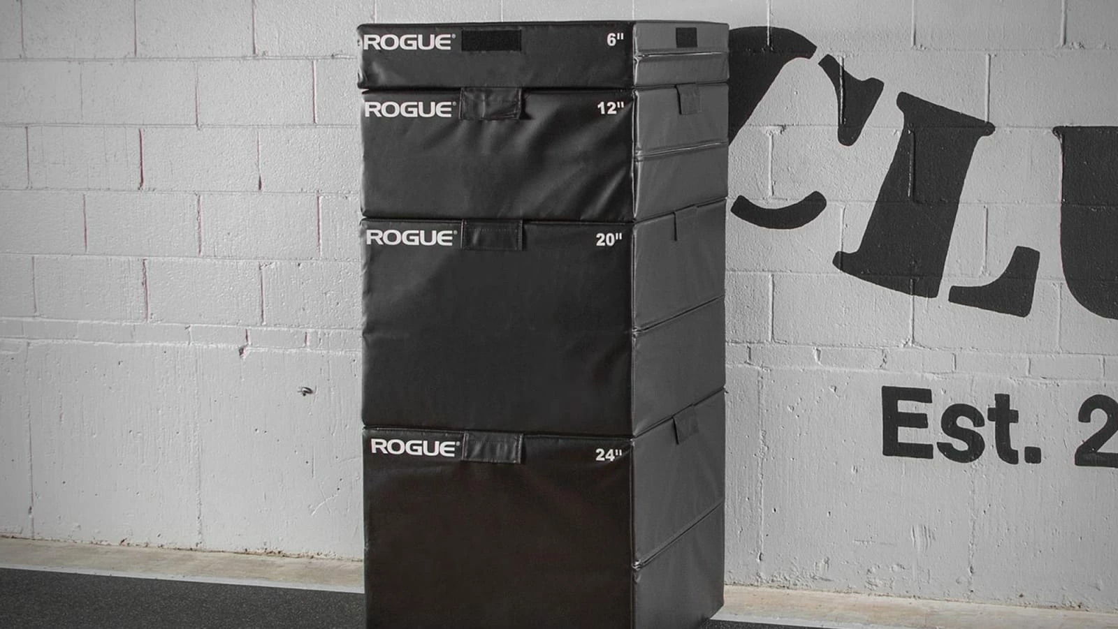 Dainty Rogue Fitness Rogue Foam Plyo Boxes the perfect